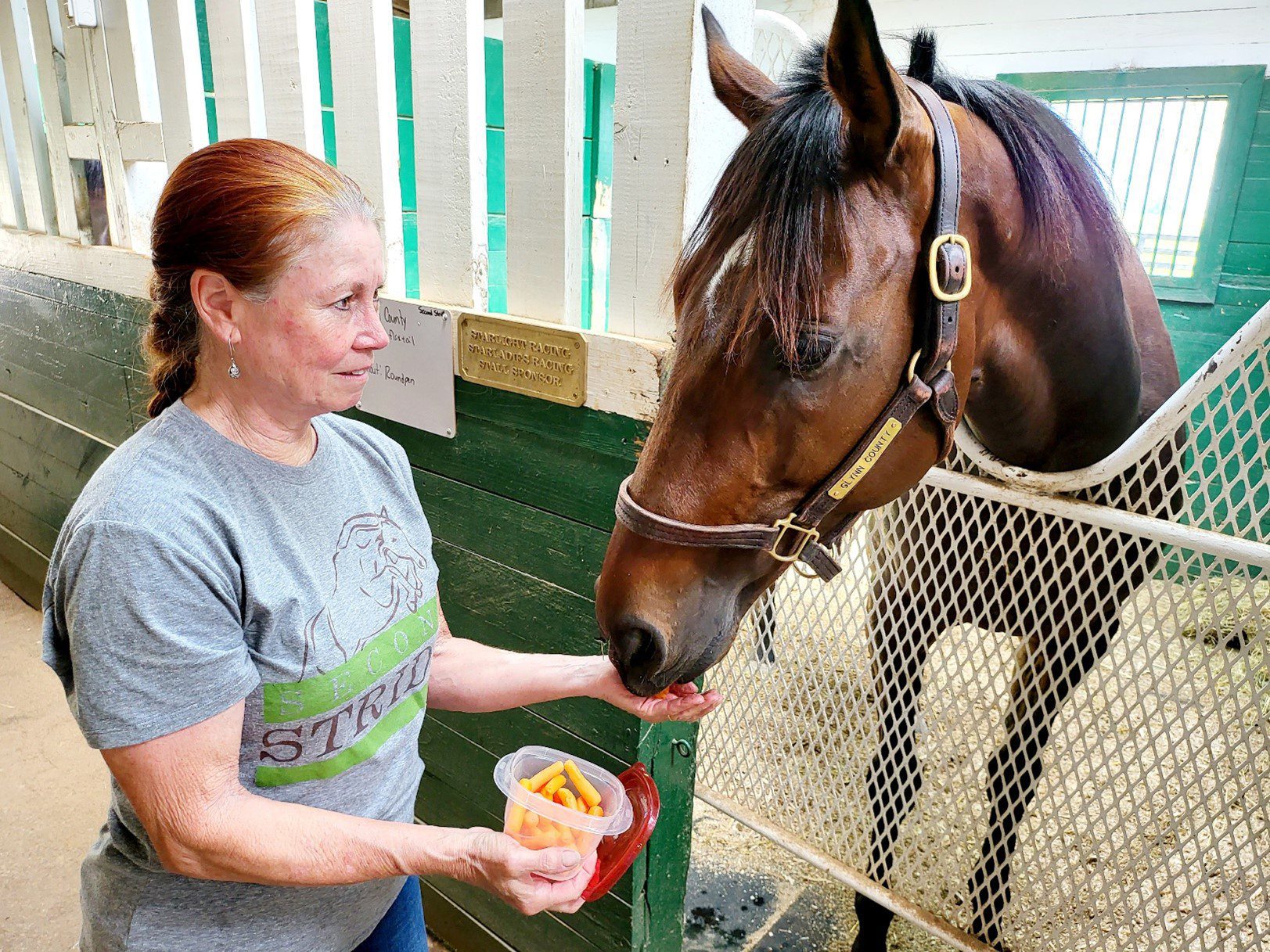 Oldham Farm Tours – Come Touch The Memories! | Places to Travel in the USA