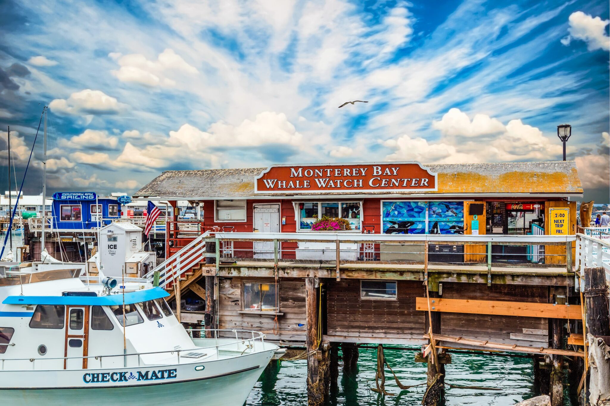 Monterey by Land and Sea: 10 Experiences That Capture the Central Coast ...